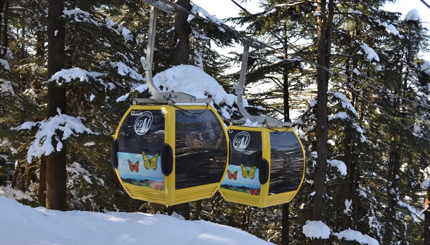 Contact Us - Take Shimla Ropeway to reach Jakhu Temple from Gondola Ride